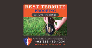 Best termite proofing Pakistan - Eastern Services Best Pest Control ...